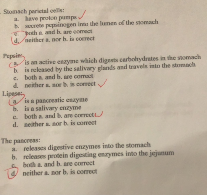 Solved Stomach parietal cells: a. have proton pumps b. | Chegg.com