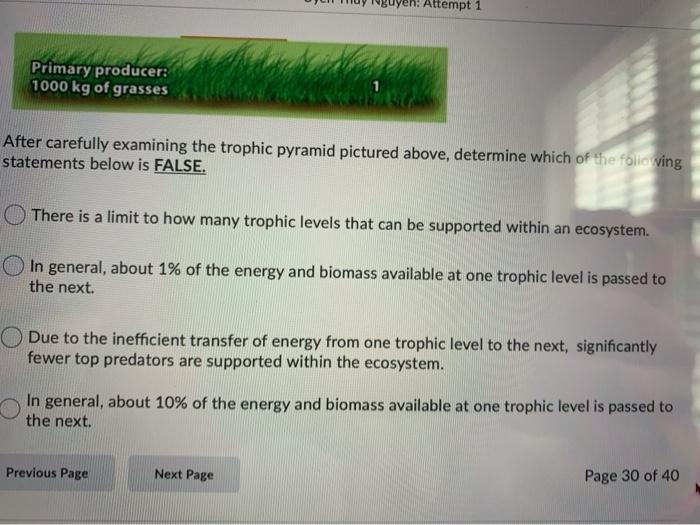 Solved Trophic level Predator (tertiary consumer): 1 kg of | Chegg.com
