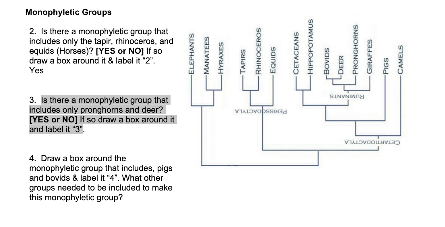 Solved Monophyletic GroupsIs there a monophyletic group | Chegg.com Solved Monophyletic GroupsIs there a monophyletic group | Chegg.com
