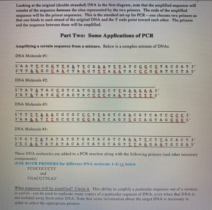 Solved Part One: Visualizing the PCR Reaction This activity | Chegg.com
