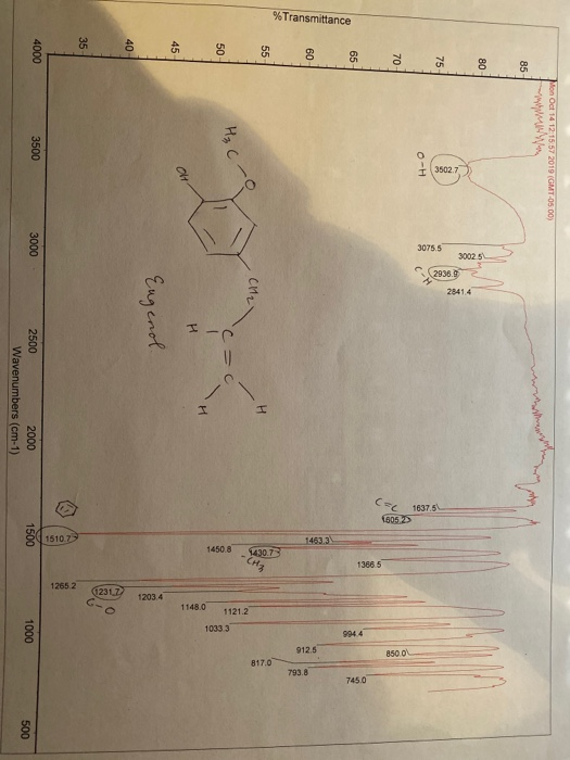 Solved Discuss the IR spectrum and whether it is consistent | Chegg.com