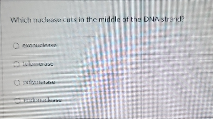 Solved Which nuclease cuts in the middle of the DNA | Chegg.com