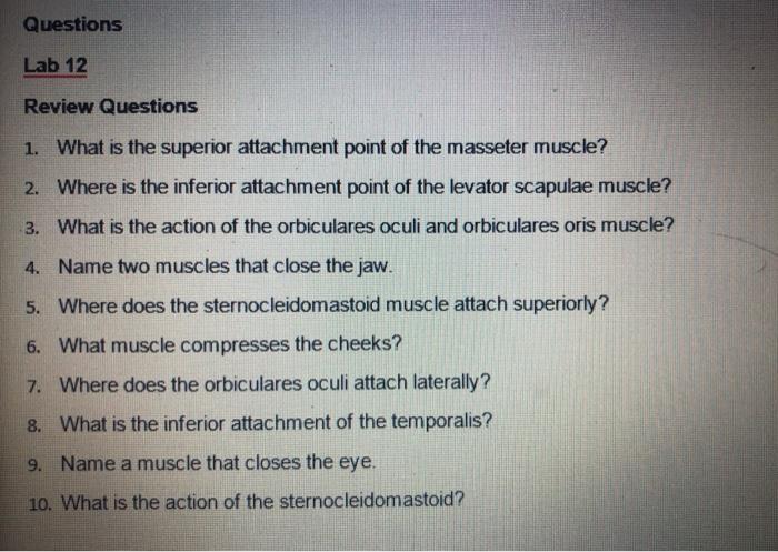 Solved Questions Lab 12 Review Questions 1. What is the | Chegg.com Solved Questions Lab 12 Review Questions 1. What is the | Chegg.com