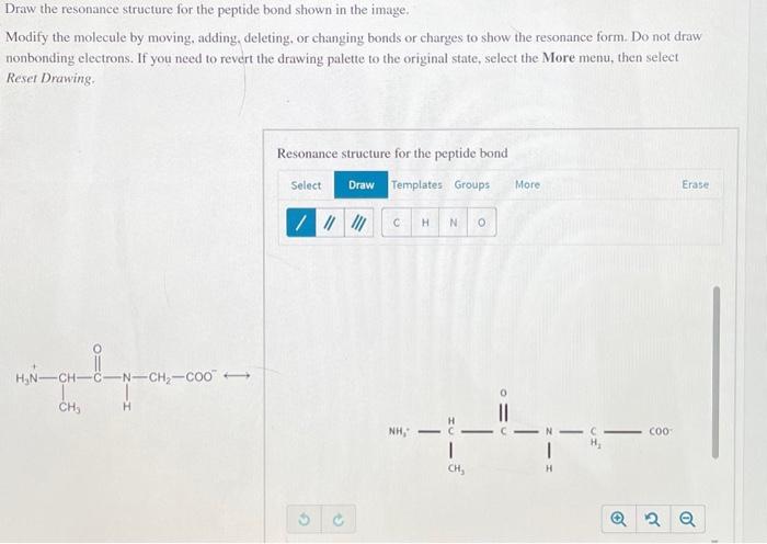 Solved Draw the resonance structure for the peptide bond | Chegg.com