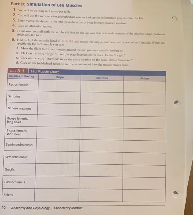 Solved Part B: Simulation of Leg Muscles 1. You will be | Chegg.com