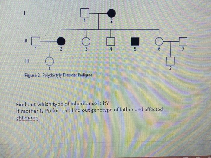 Solved Find out which type of inheritance is it? If mother | Chegg.com