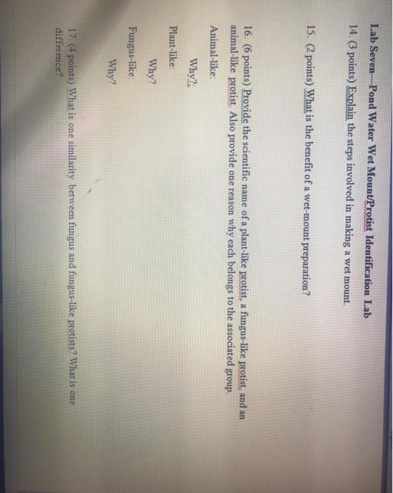 Solved Lab Seven Pond Water Wet Mount/Protist Identification | Chegg.com