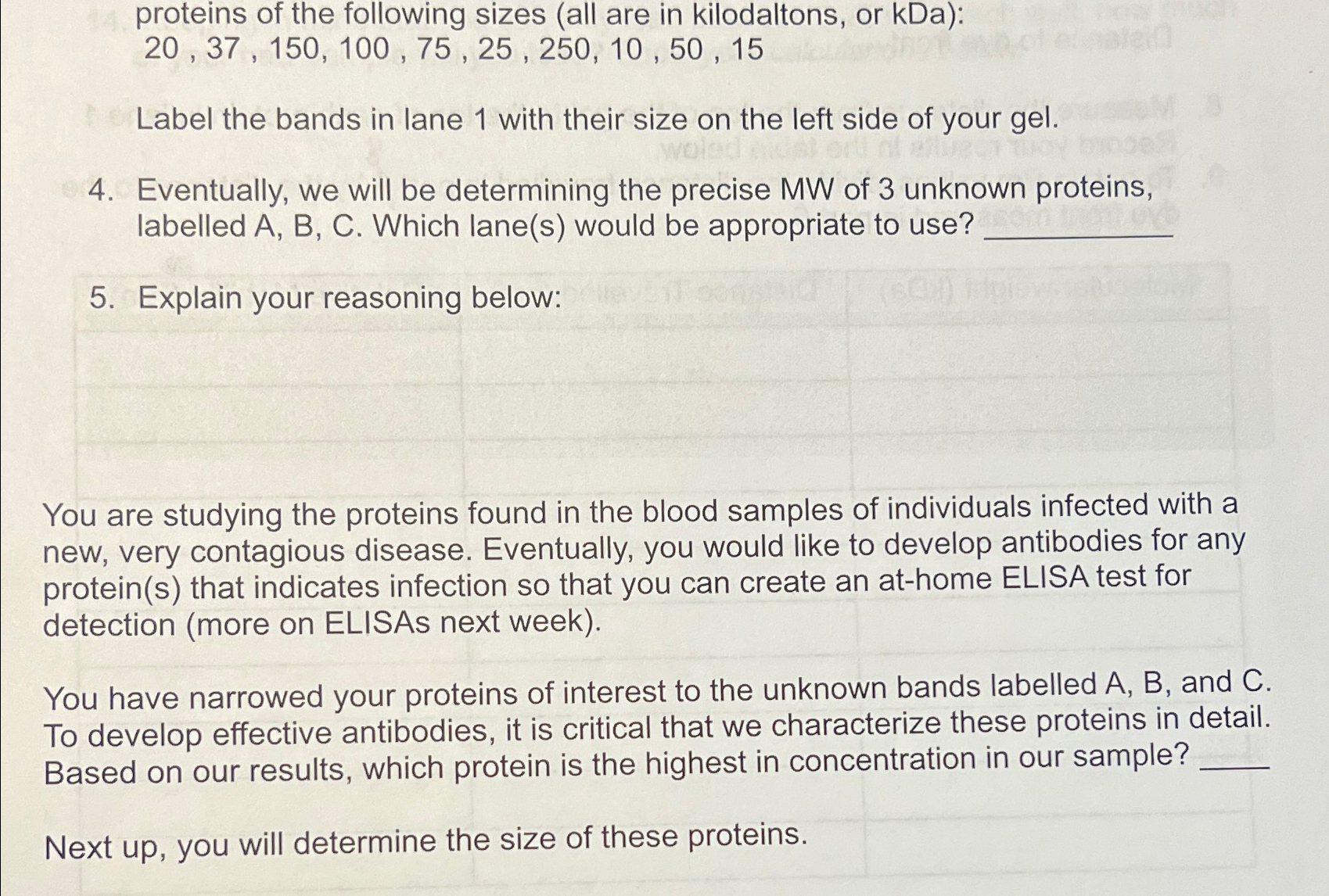 Solved proteins of the following sizes (all are in | Chegg.com