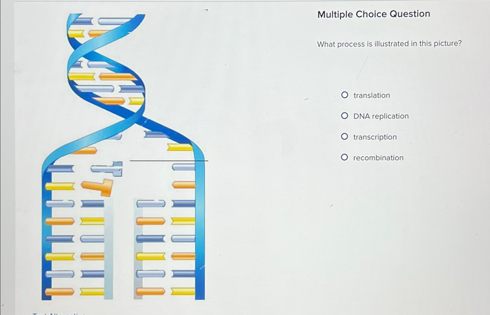 Solved Multiple Choice QuestionWhat process is illustrated | Chegg.com