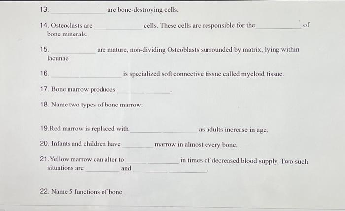 Solved 13. are bone-destroying cells. 14. Osteoclasts are | Chegg.com Solved 13. are bone-destroying cells. 14. Osteoclasts are | Chegg.com