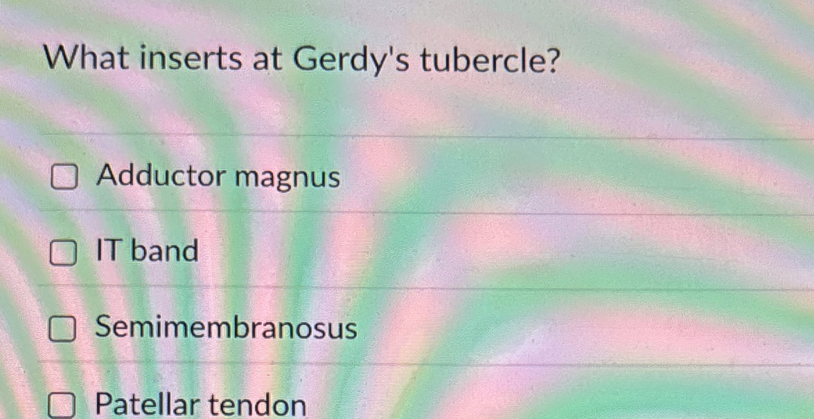 Solved What inserts at Gerdy's tubercle?Adductor magnusIT | Chegg.com