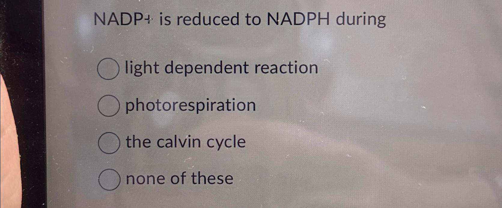 Solved NADPt is reduced to NADPH duringlight dependent | Chegg.com