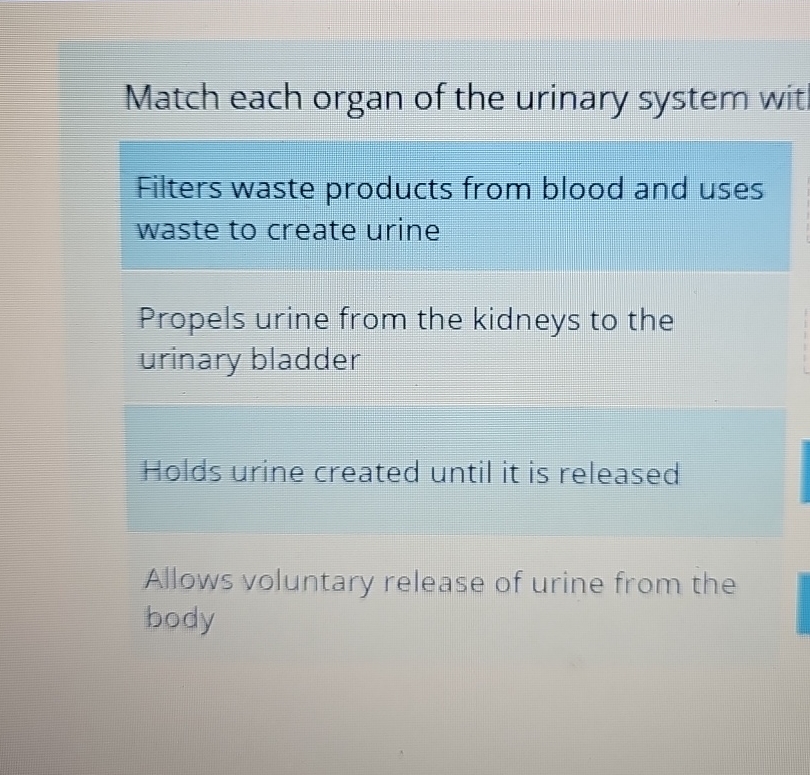 Solved Match each organ of the urinary system witFilters | Chegg.com