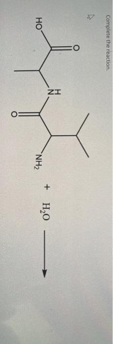 Solved Complete the reaction. ZI + HO HO NH2 | Chegg.com