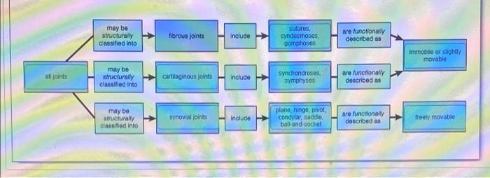 Solved may be structurally classified into fibrous joints | Chegg.com