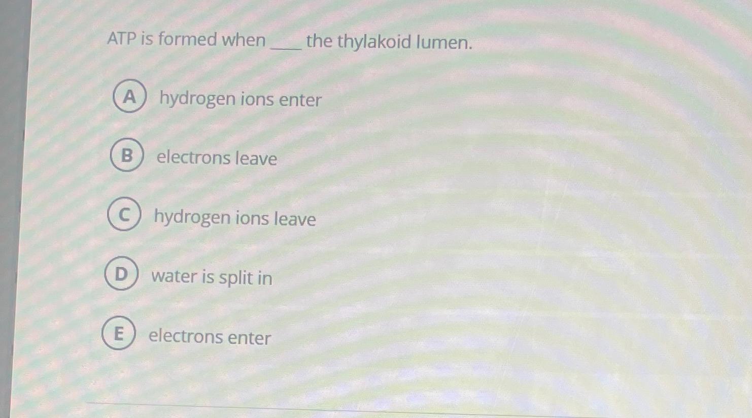Solved ATP is formed when the thylakoid lumen.hydrogen ions | Chegg.com