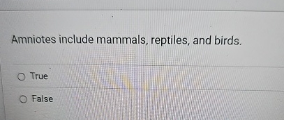 Solved Amniotes include mammals, reptiles, and birds. | Chegg.com