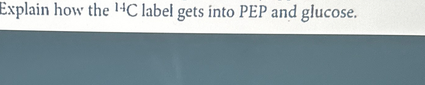 Solved Explain how the ?1+C ﻿label gets into PEP and | Chegg.com