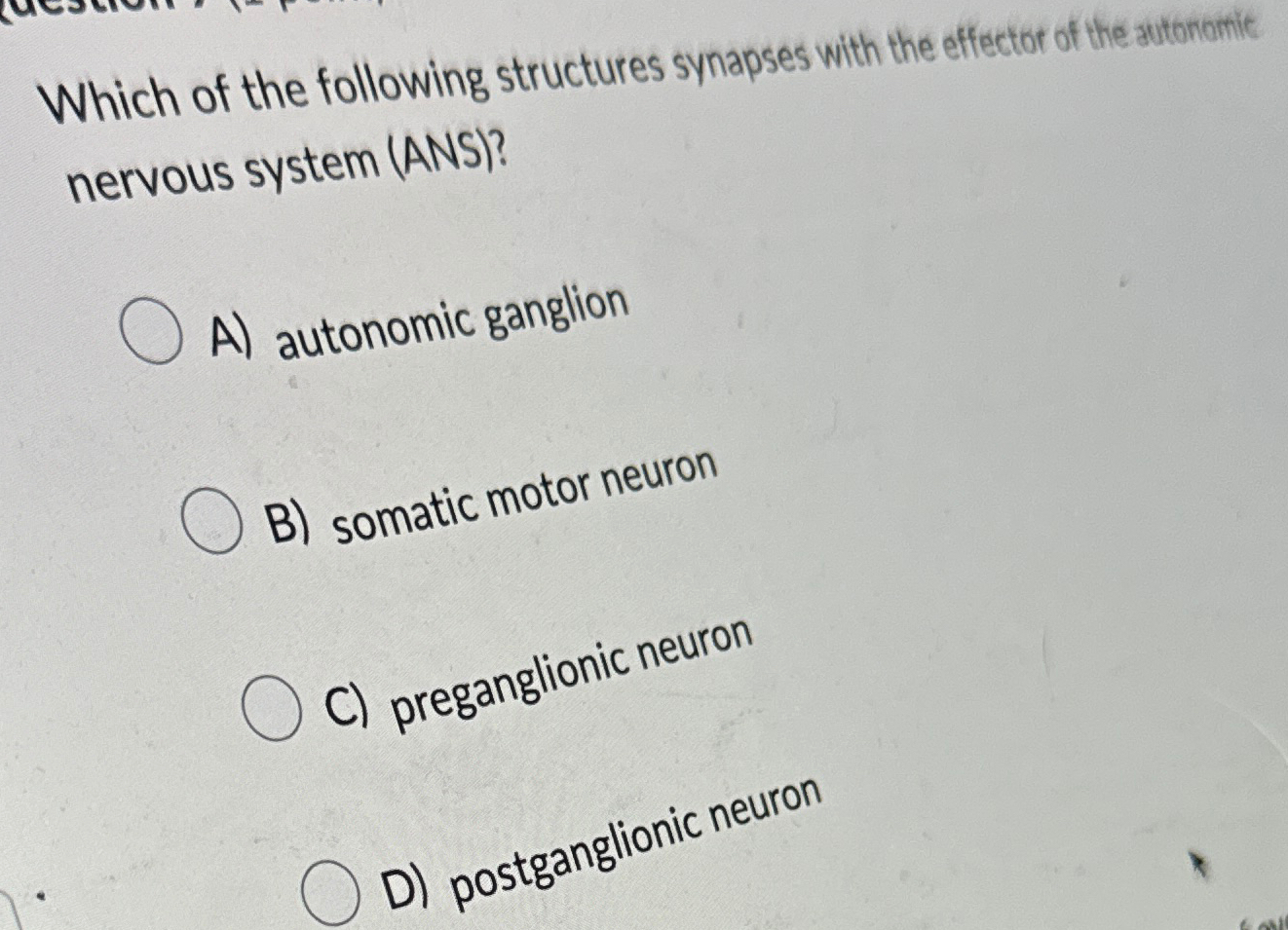 Solved Which of the following structures synapses with the | Chegg.com