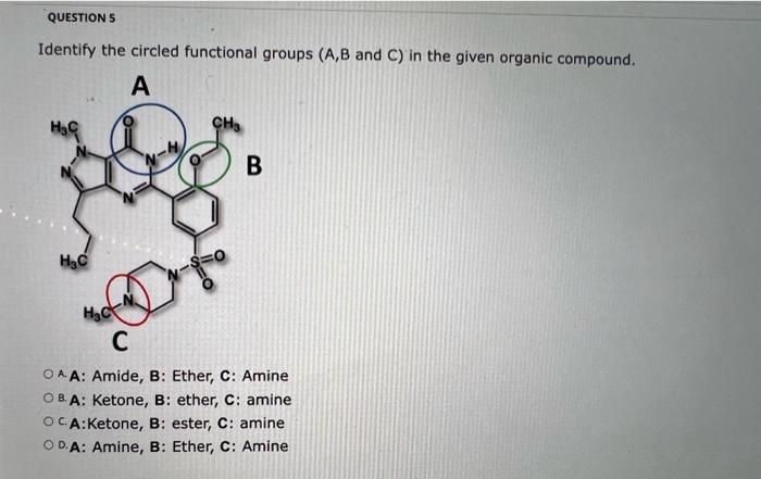 Solved Identify the circled functional groups (A,B and C) in | Chegg.com