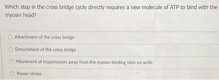 Solved Which step in the cross bridge cycle directly | Chegg.com