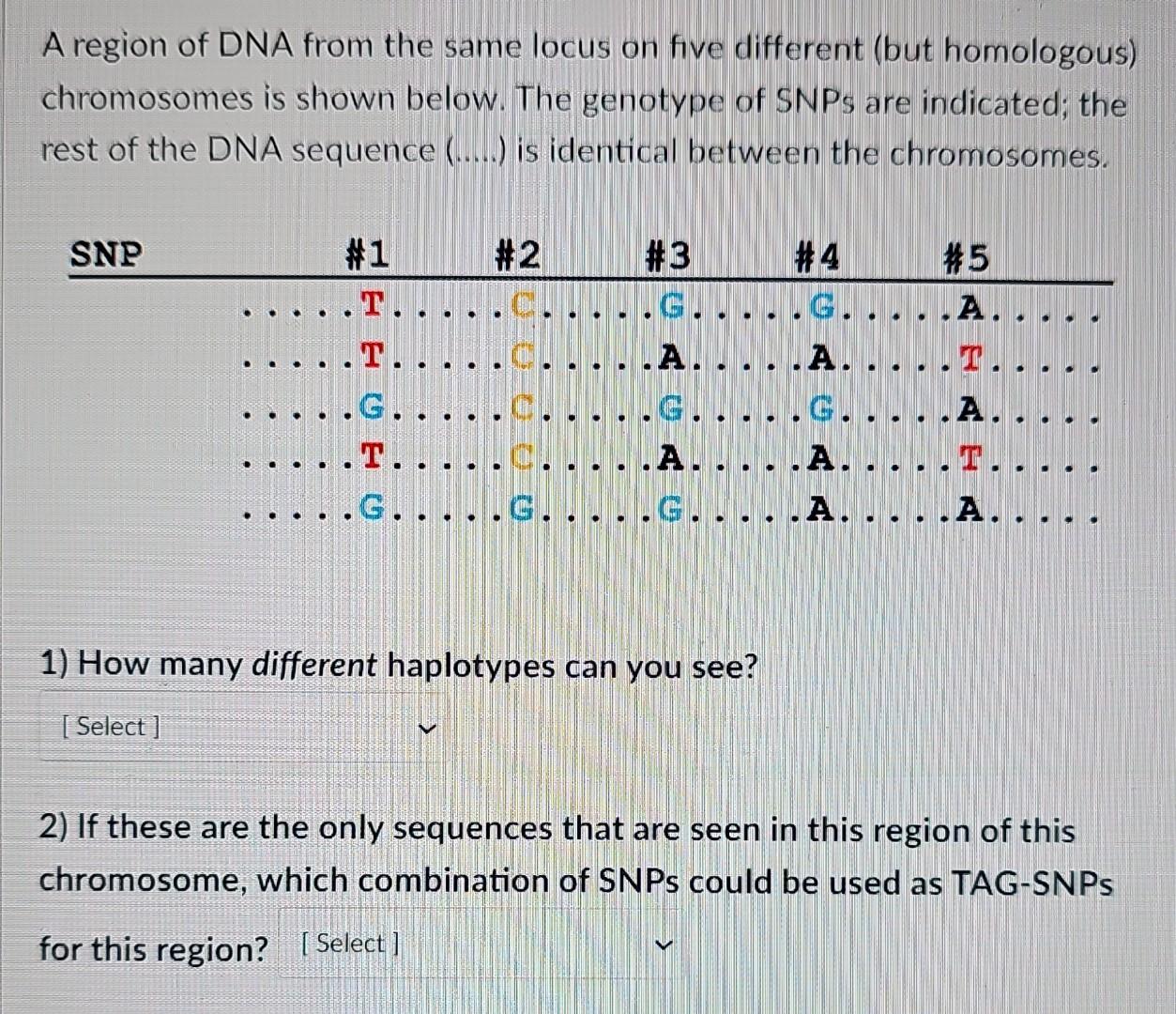 Solved A region of DNA from the same locus on five different | Chegg.com