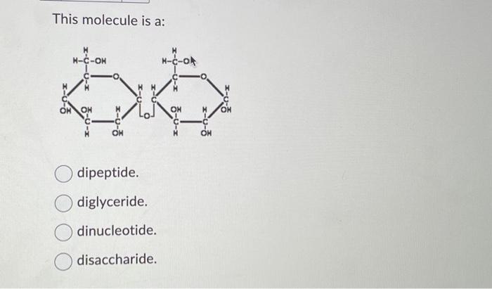 Solved This molecule is a: dipeptide. diglyceride. | Chegg.com