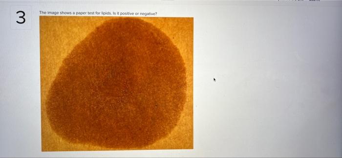 Solved 3 The image shows a paper test for lipids. Is it | Chegg.com