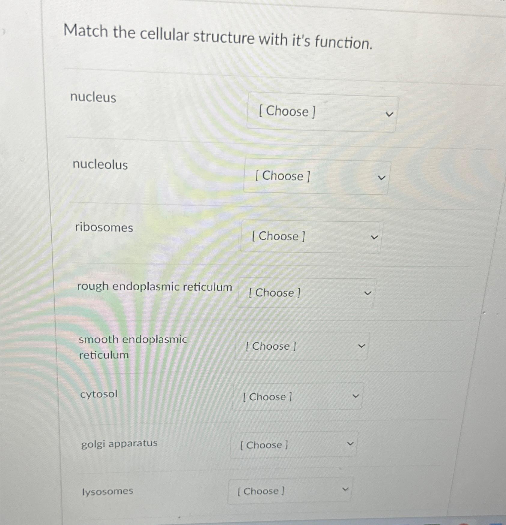 Solved Match the cellular structure with it's | Chegg.com