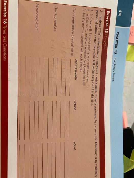 Solved 418 CHAPTER 15 The Urinary System Exercise 15 | Chegg.com