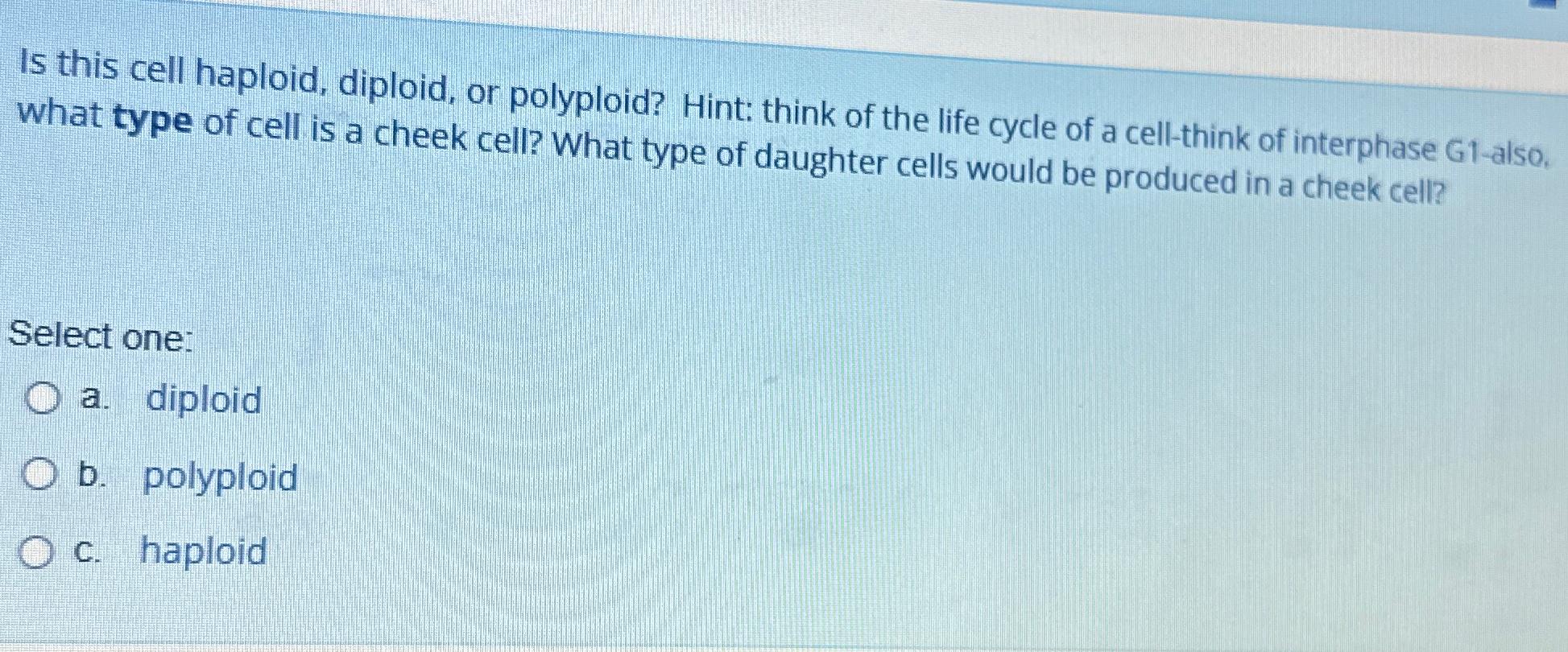 Solved Is this cell haploid, diploid, or polyploid? Hint: | Chegg.com