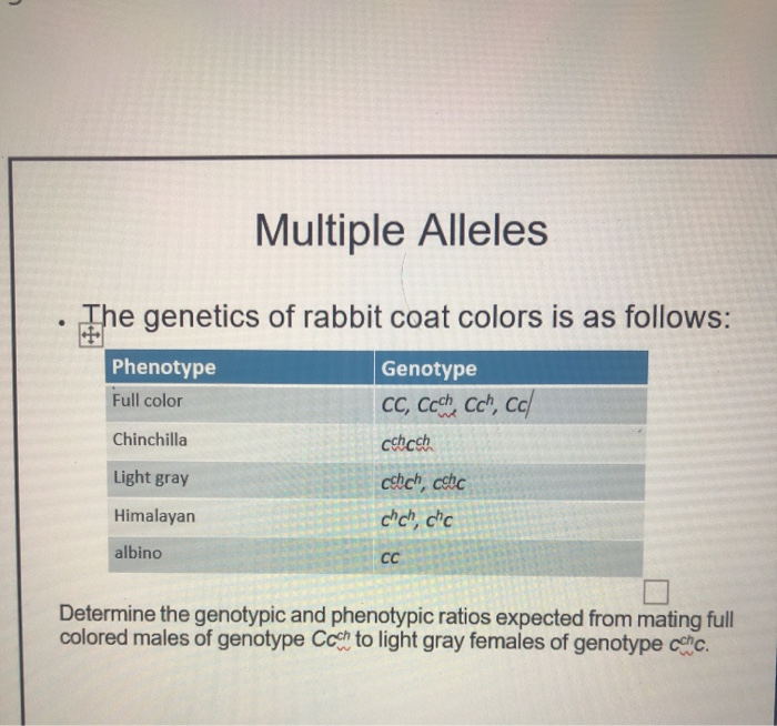 Solved Multiple Alleles The genetics of rabbit coat colors | Chegg.com