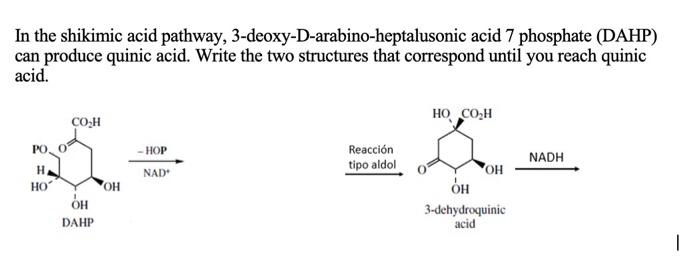 Solved In the shikimic acid pathway, | Chegg.com