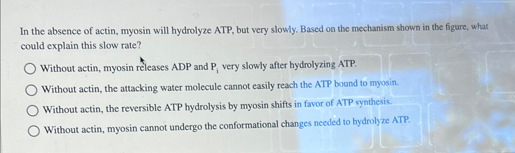 Solved In the absence of actin, myosin will hydrolyze ATP, | Chegg.com