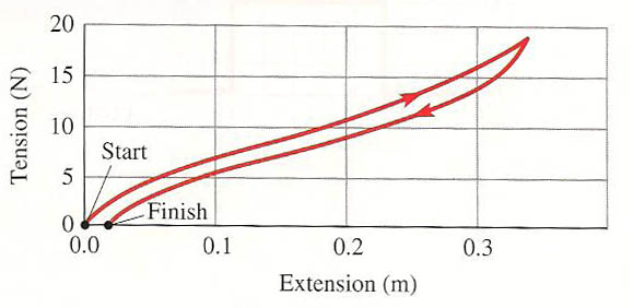 Solved The graph shows thetension in a rubber band as it is | Chegg.com