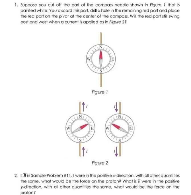 Solved 1. Suppose you cut off the part of the compass needle | Chegg.com