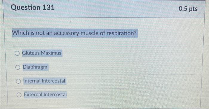 Solved Which is not an accessory muscle of respiration? | Chegg.com