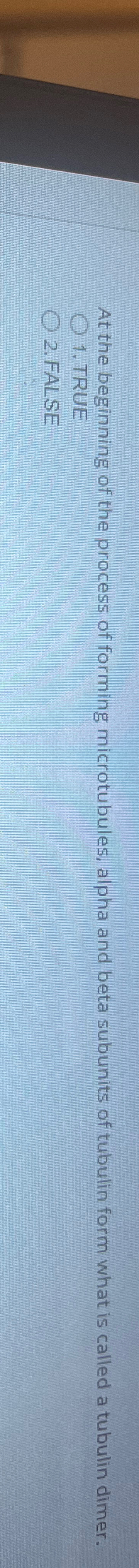 Solved At the beginning of the process of forming | Chegg.com