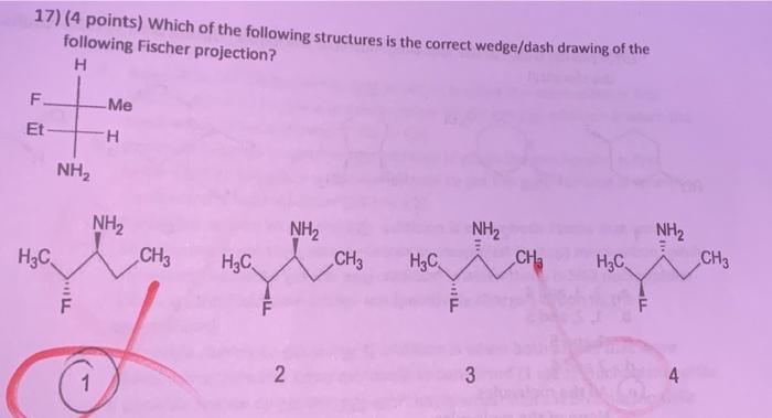 Solved 17) (4 points) Which of the following structures is | Chegg.com