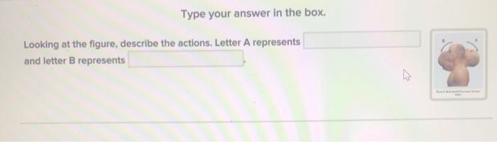 Solved Type your answer in the box. Looking at the figure, | Chegg.com