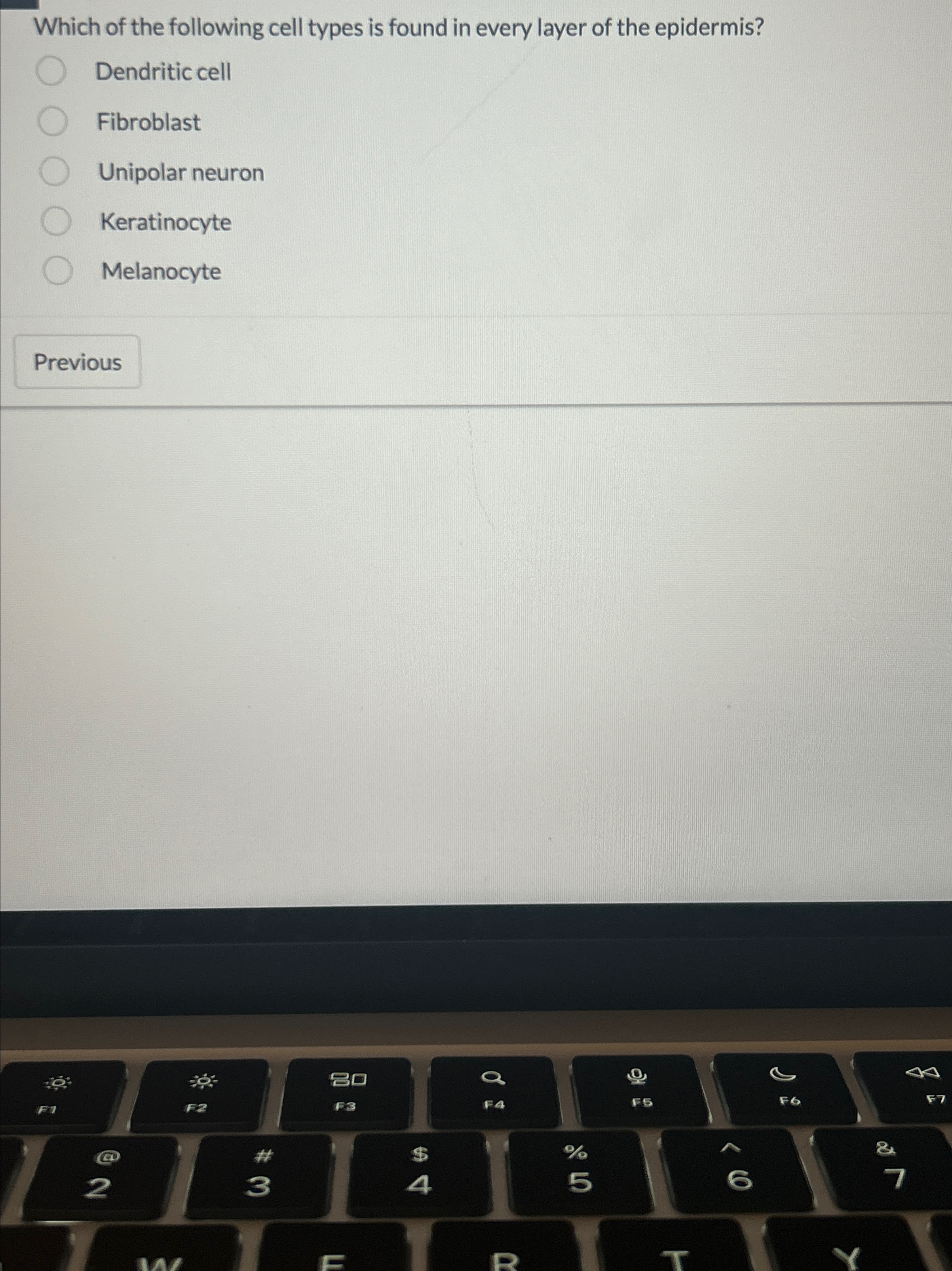 Solved Which of the following cell types is found in every | Chegg.com
