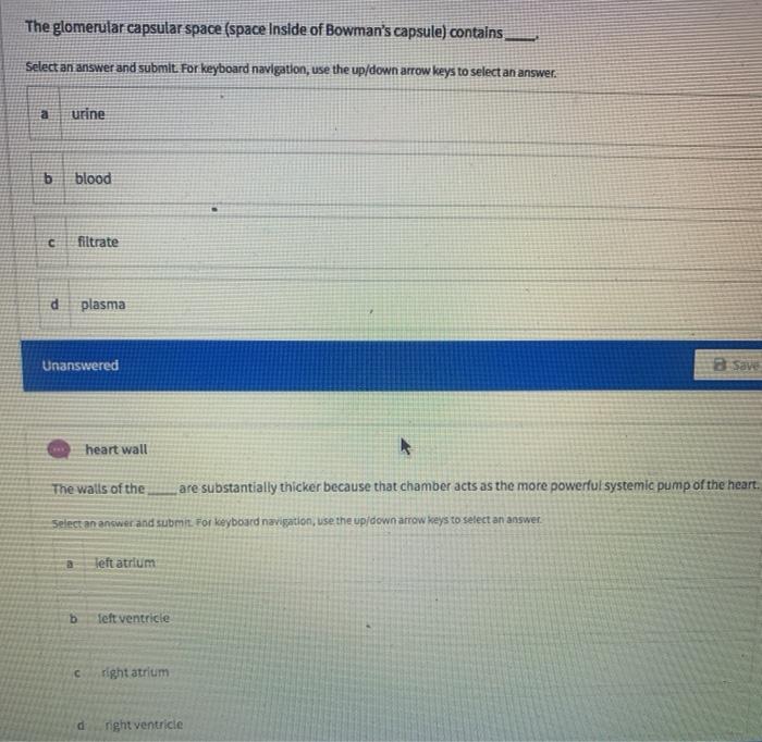 Solved The glomerular capsular space (space Inside of | Chegg.com