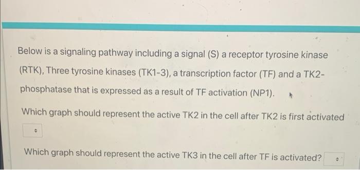 Solved Below is a signaling pathway including a signal (S) a | Chegg.com