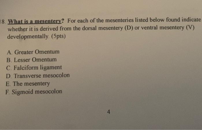 Solved 18. What is a mesentery? For each of the mesenteries | Chegg.com