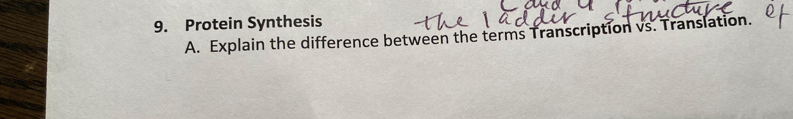 Solved Protein SynthesisA. ﻿Explain the difference between | Chegg.com