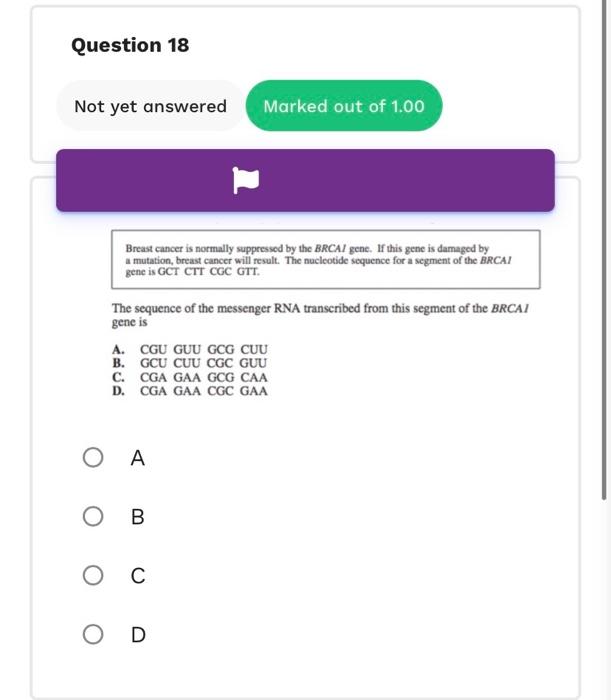Solved Certain enzymes produce staggered cuts in DNA known | Chegg.com
