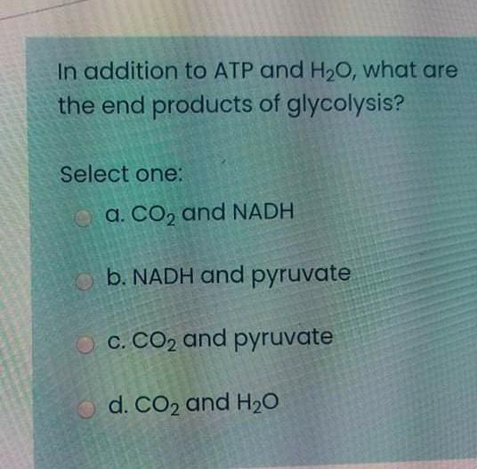 Solved In addition to ATP and H20, what are the end products | Chegg.com