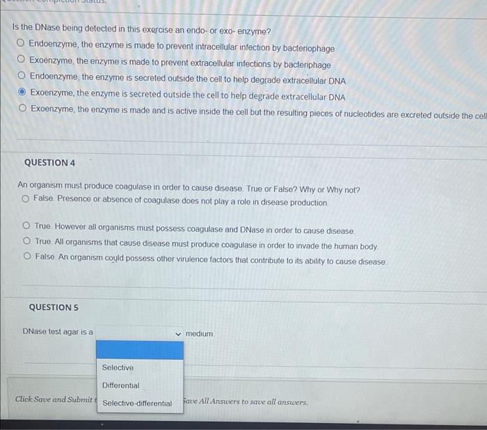 Solved ca Is the DNase being detected in this exercise an | Chegg.com