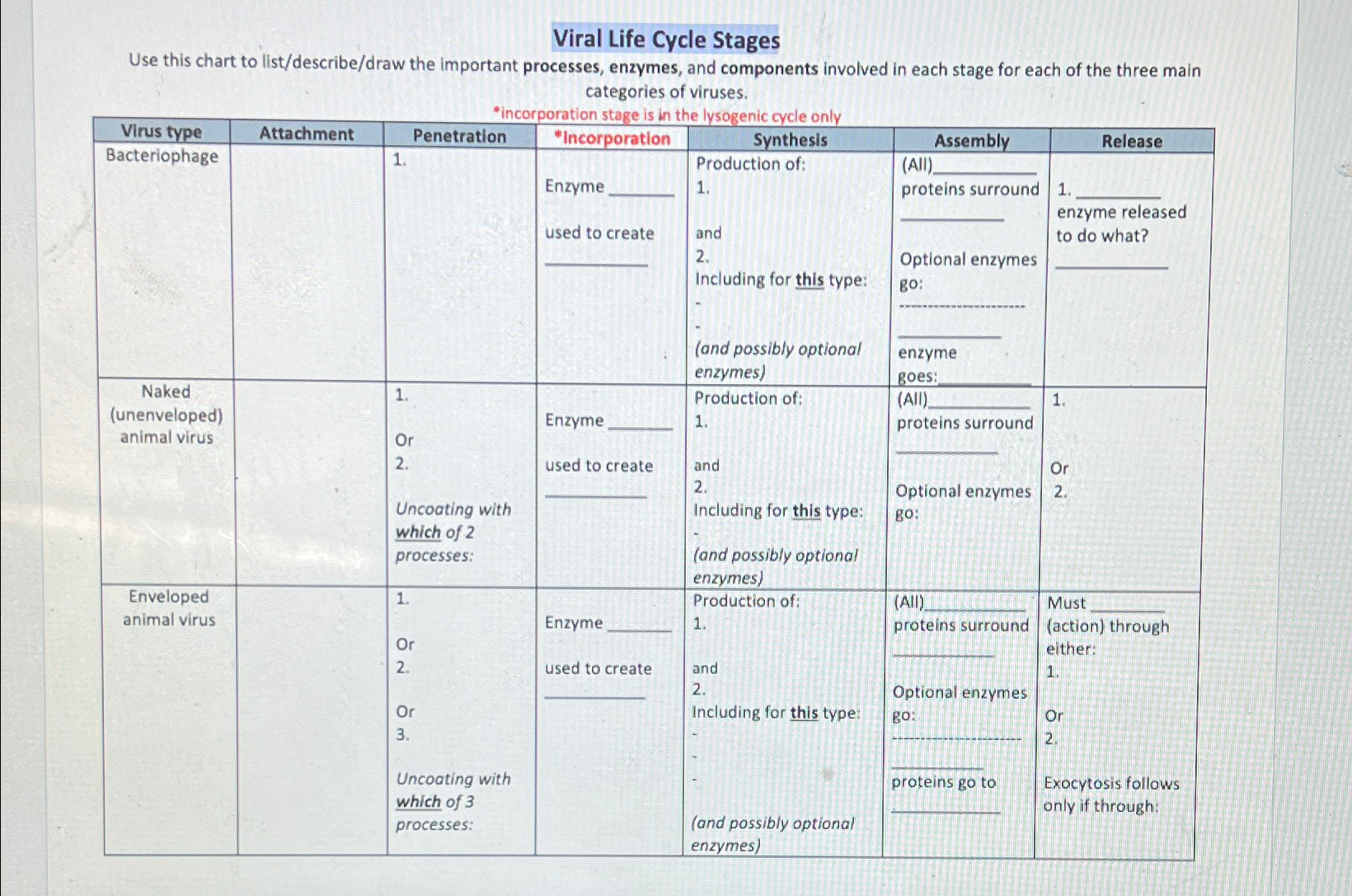 Viral Life Cycle StagesUse this chart to | Chegg.com