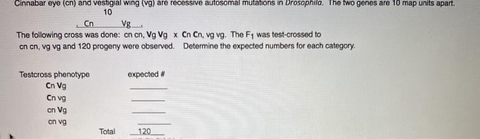 Solved Cinnabar eye (cn) and vestigial wing (Vg) are | Chegg.com